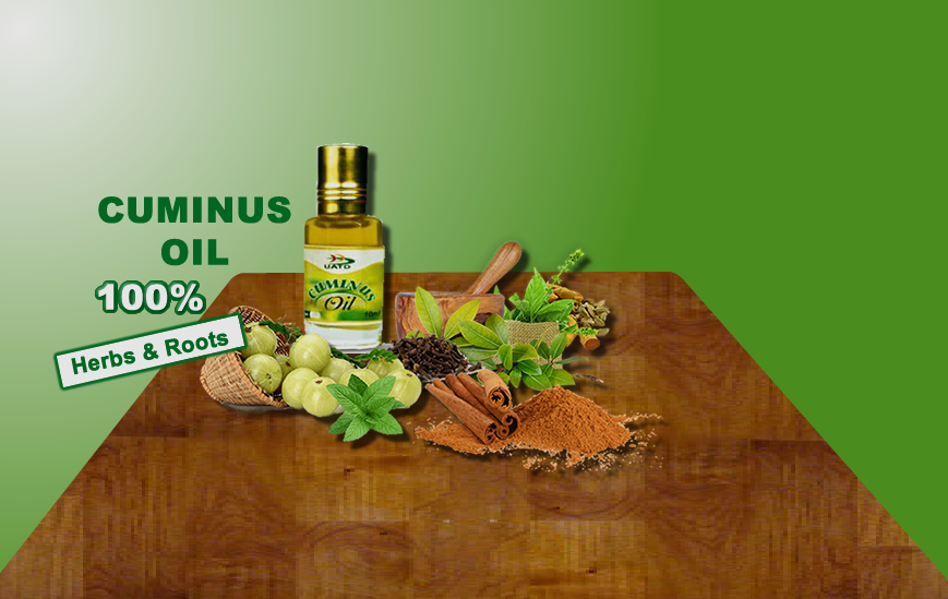 Rehoboth Center • As Far As You Can See...